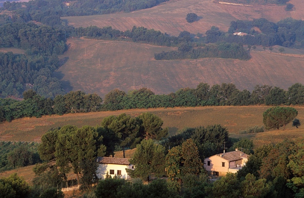 Hotel Panorama Alberghi Castelraimondo 62022 by overplace