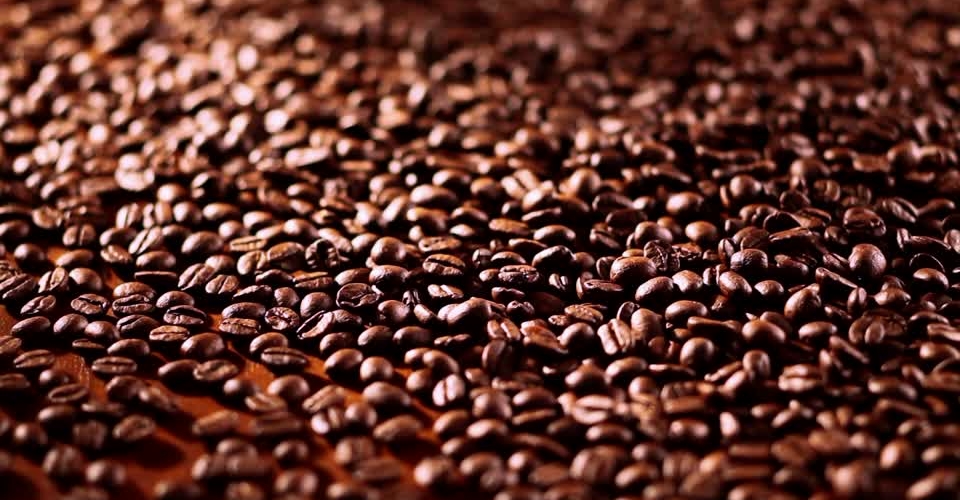 Gd coffe Caffe crudo Ariccia 00072 by overplace