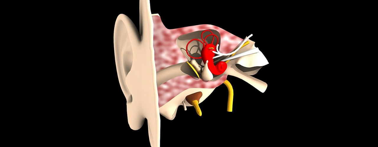 Dott Marco Venier Specialista In Otorinolaringoiatria E Audiologia ...