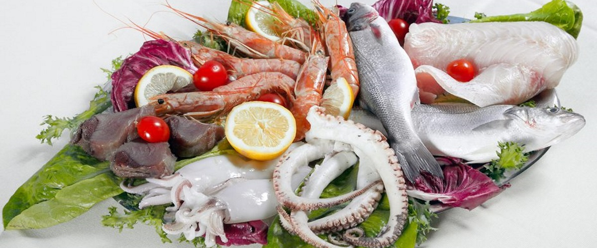 Roat Prodotti Ittici S.r.l. Pescherie Mezzolombardo 38017 by overplace